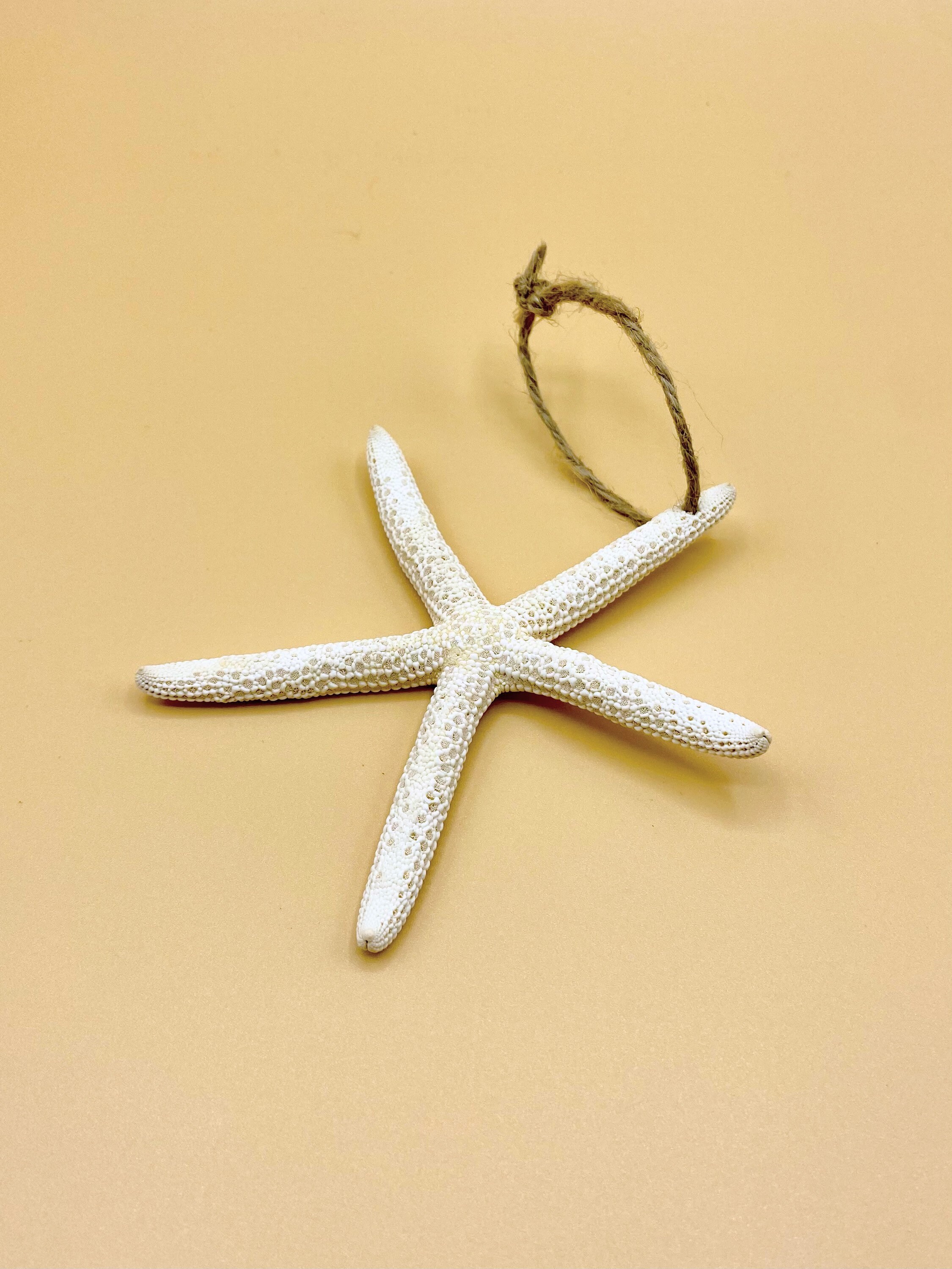 Starfish Ornamentcoastal Christmas Decorstarfish - Etsy