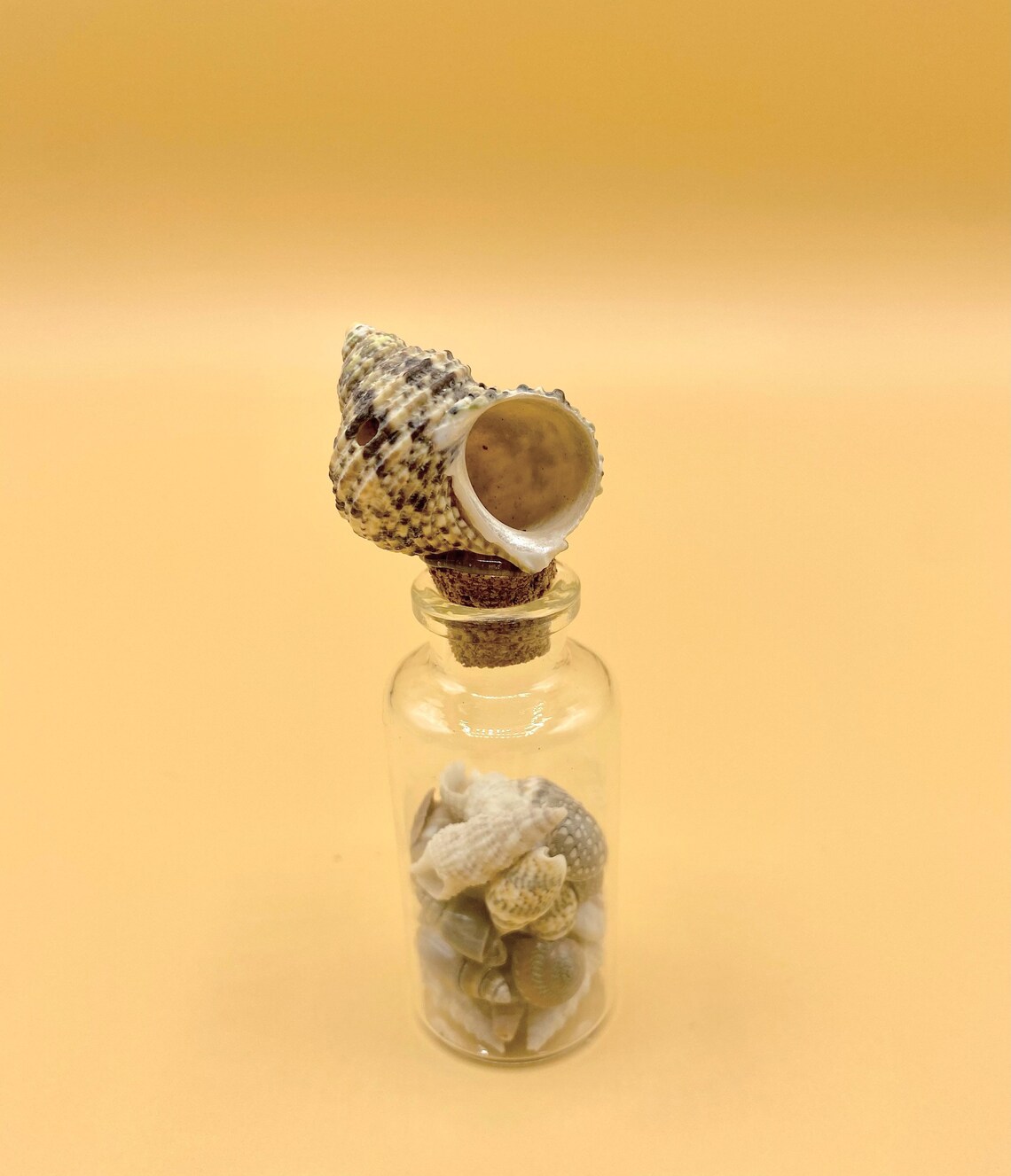Nautical Sea Glass Bottlemini Seashell Bottleocean in a - Etsy