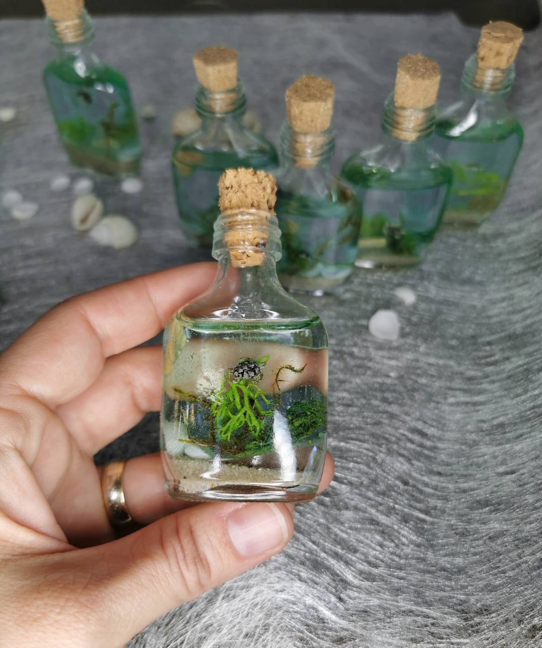 Set of 3 Mini Ocean Dioramas in Glass, Transparent Turquoise Water Made ...