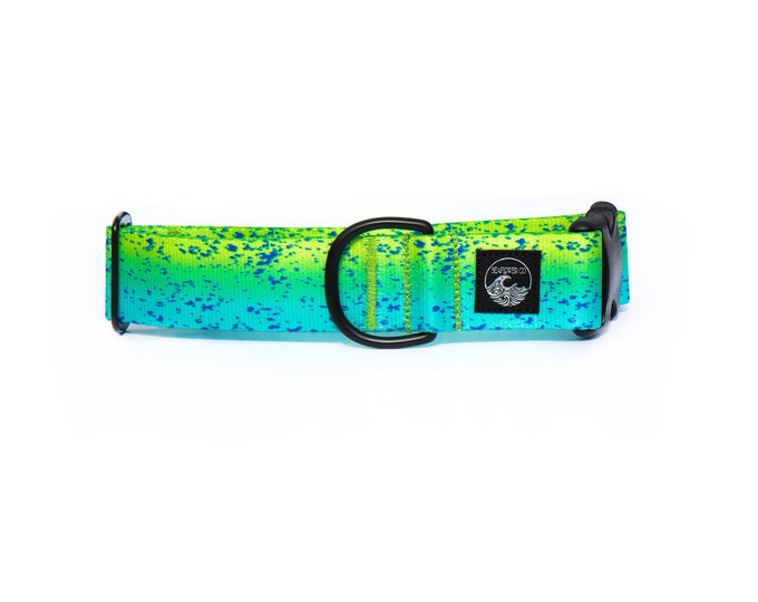 Dolphin/mahi-mahi Dog Collar/mahi-mahi Jacquard Ribbon Dog Collar ...