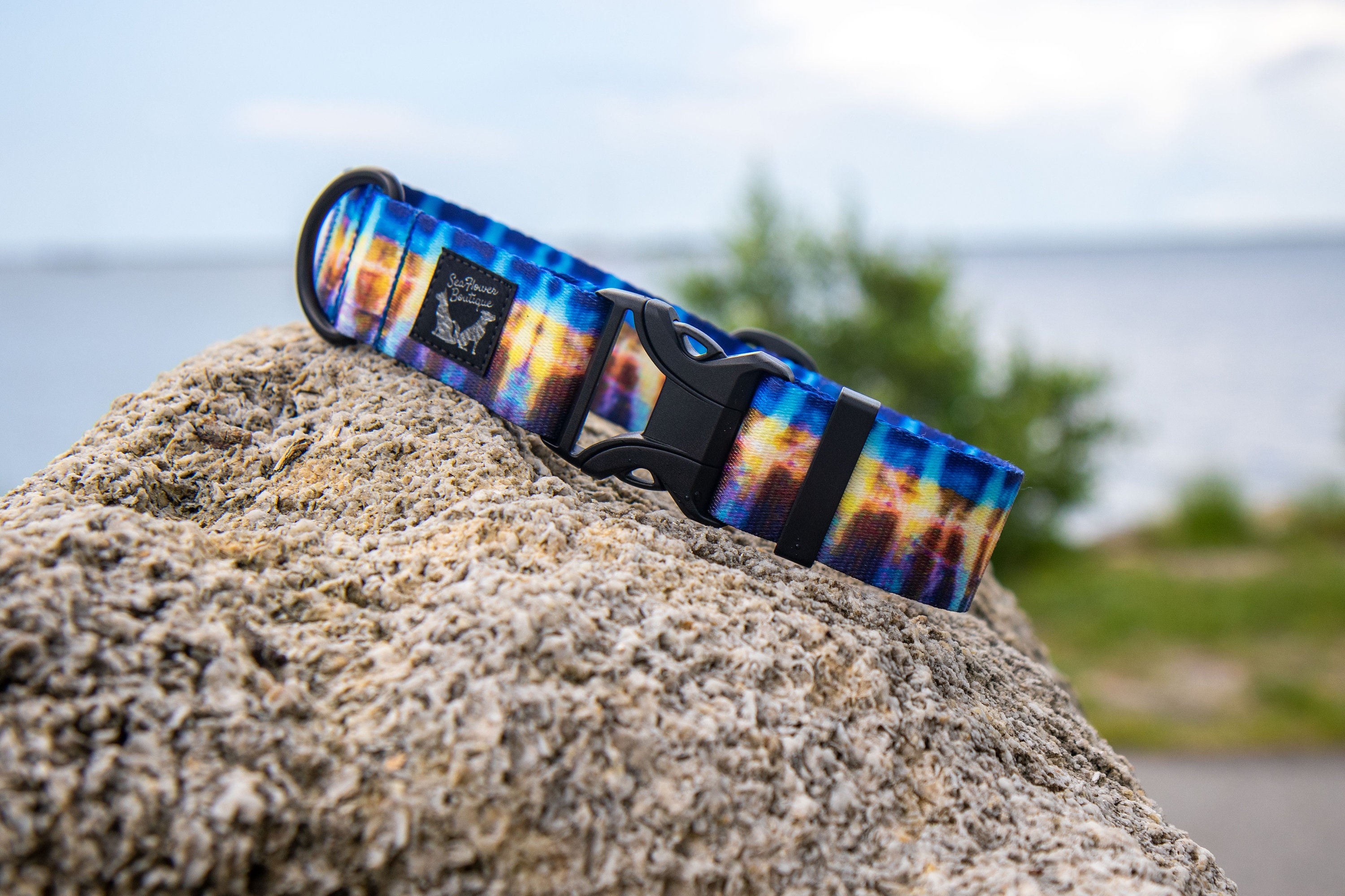 Wahoo Dog Collar Fishing Pet Collar Pelagic Dog Collar | Etsy