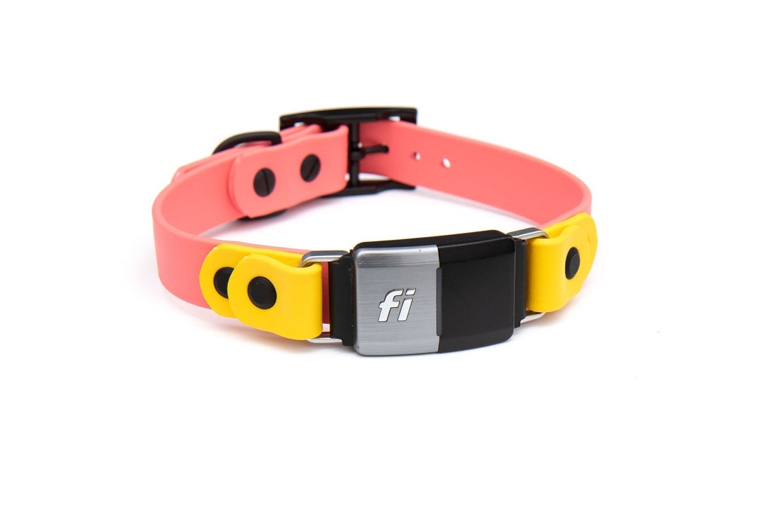 Fi Series 2 Compatible 3/4 or 1 Over the Band Biothane Dog Collar Two ...