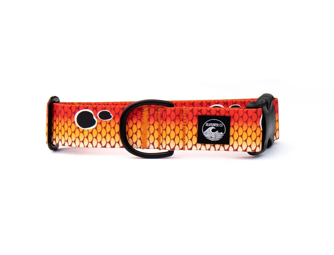 Redfish Scales Dog Collar | Fish Pet Collar | Beach Collar Stainless ...