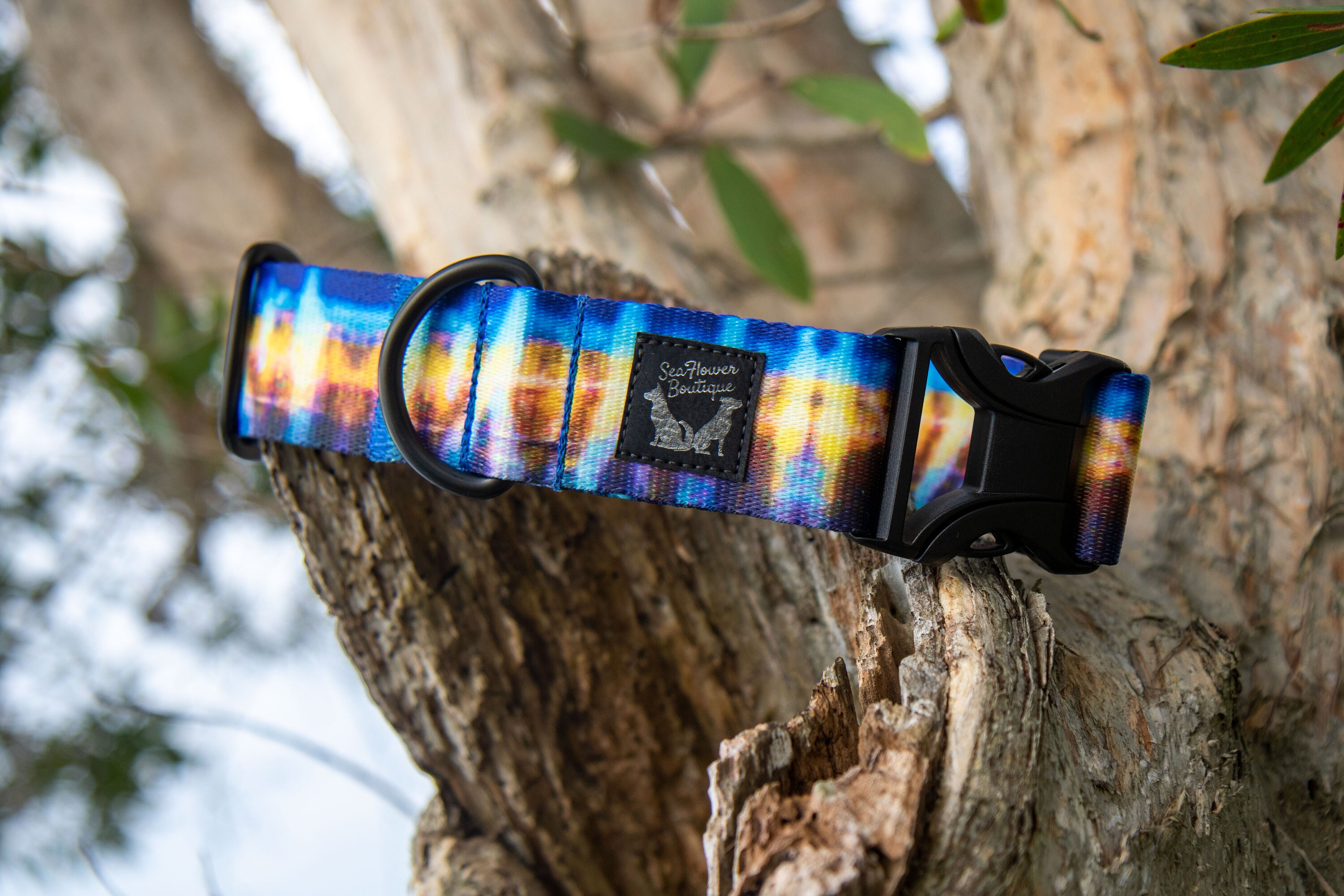 Wahoo Dog Collar Fishing Pet Collar Pelagic Dog Collar | Etsy