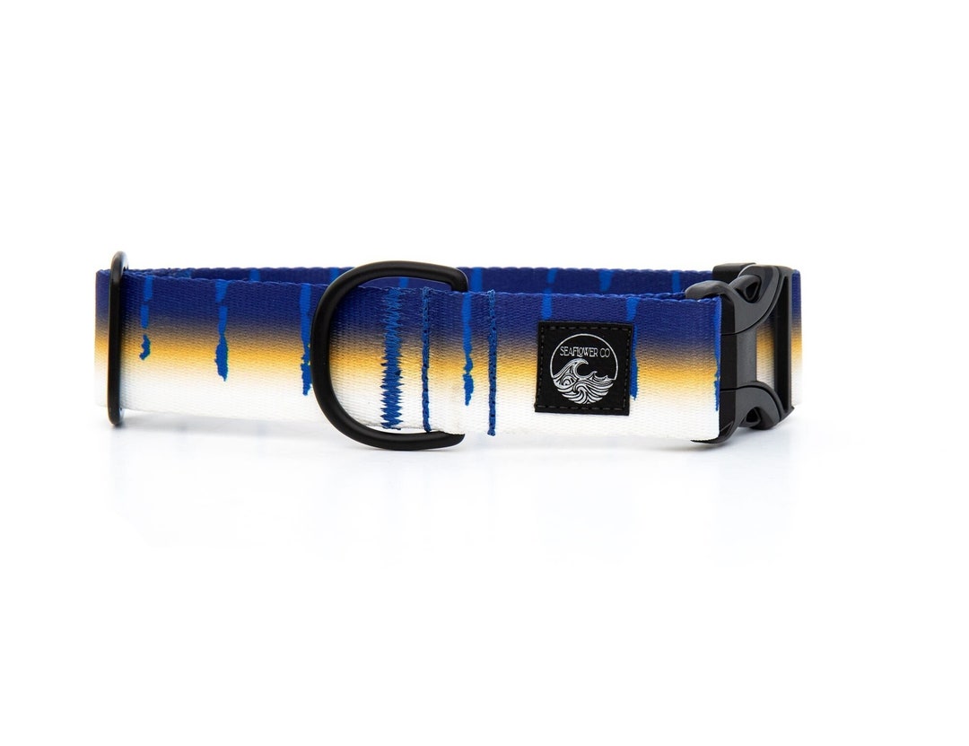 Sailfish Dog Collar Fishing Pet Collar Ocean Nautical Collar Stainless ...