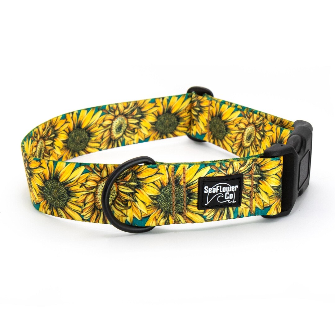 Sunflower Dog Collar: Floral Beach Pet Collar, Stainless Steel or Black ...