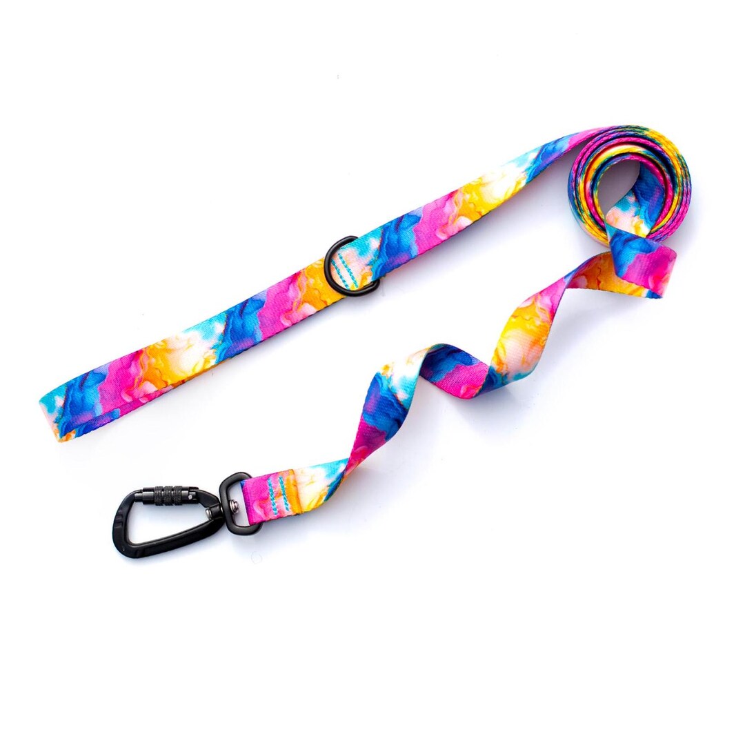 Colorful Abstract Leash | Marble Print Dog Lead | Girl Dog Leash ...