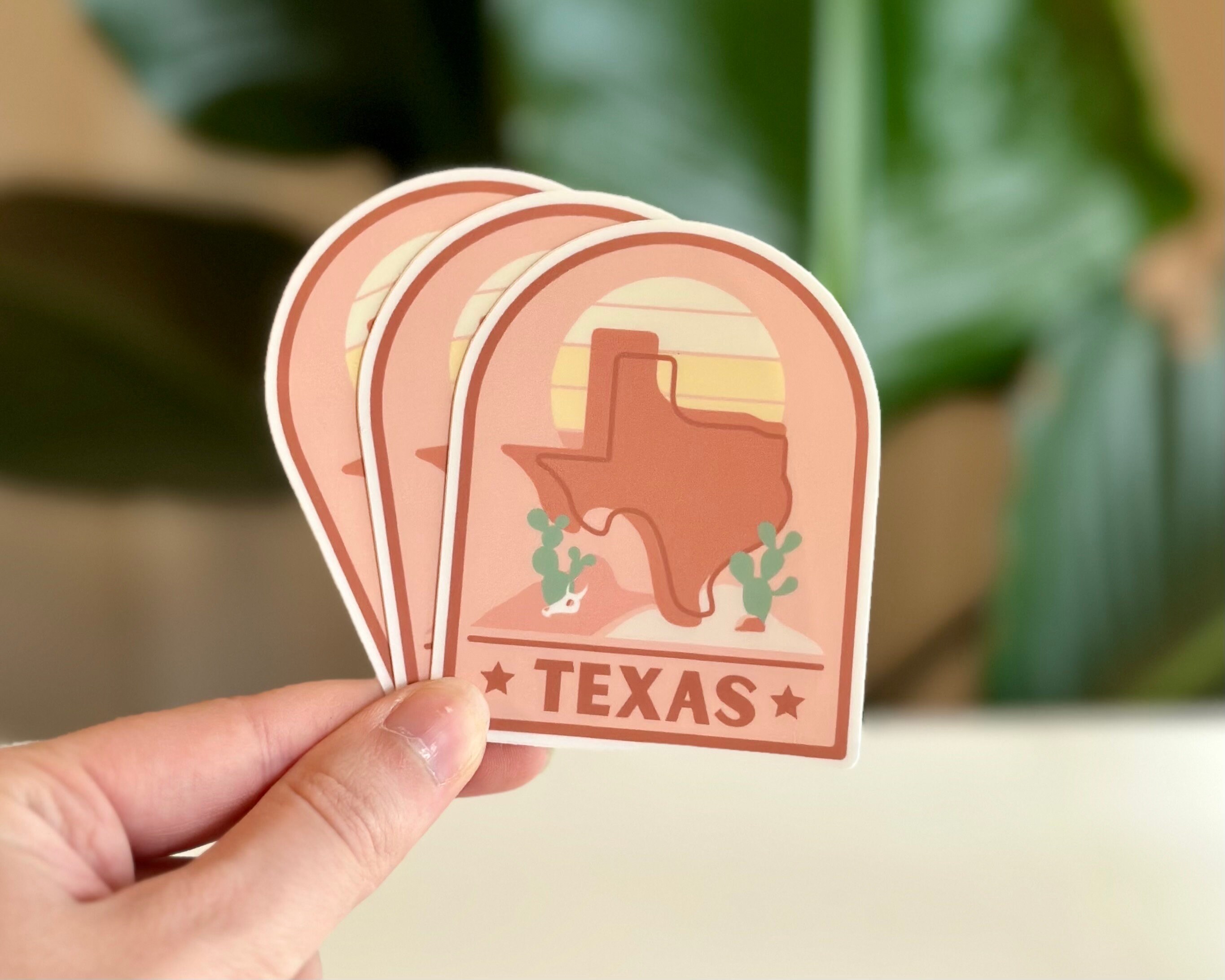 Texas Sticker, Cute Texan Decal, Waterproof Vinyl Sticker, State ...