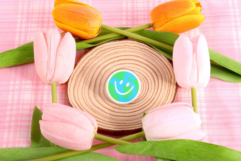 Smiley Face Earth Pin, Wooden Earth Day Clutch Pin, 1.5 Inch Planet ...