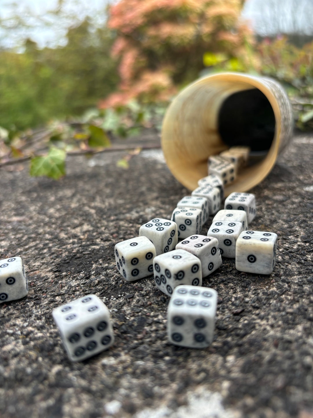 Viking Dice, Medieval Bone Dice - Etsy
