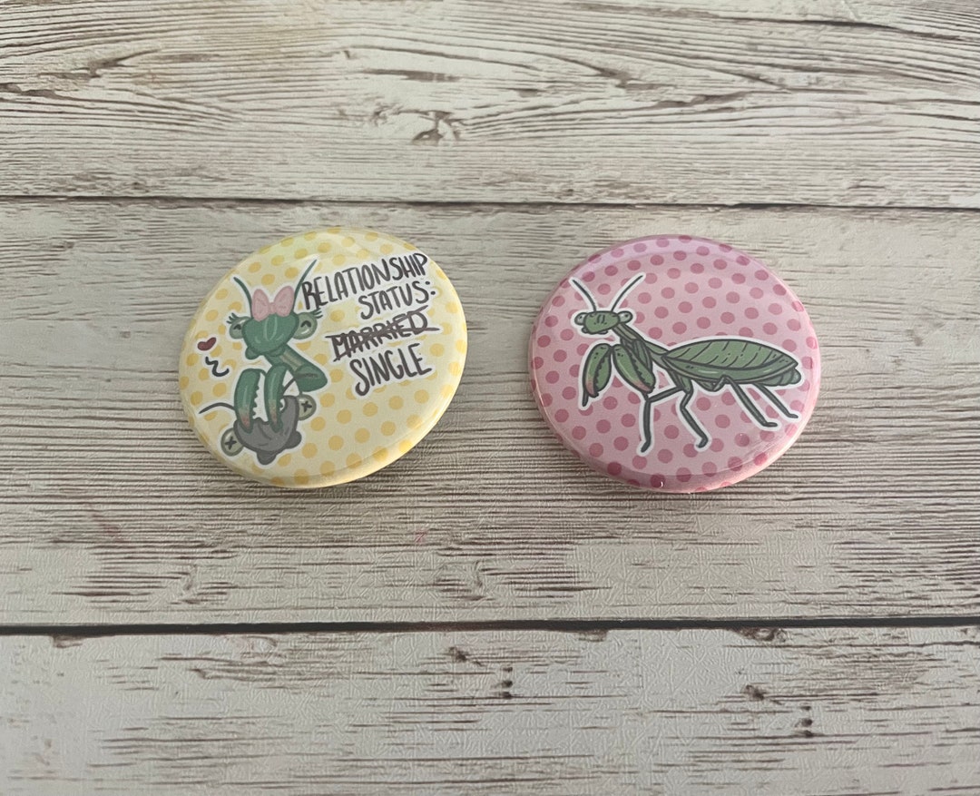 Praying Mantis Buttons - Mantids - Funny Animals - Original Artwork - Etsy