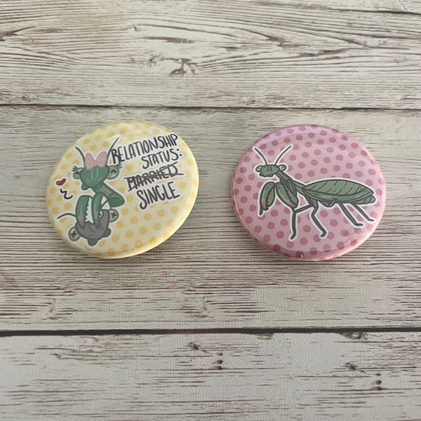 Praying Mantis Pin - Etsy