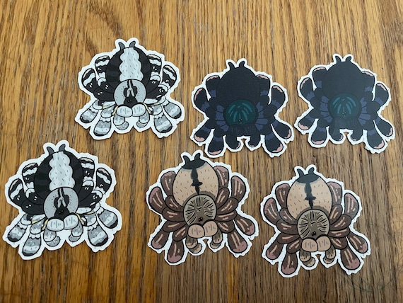 Species Variations Tarantula Sticker Arboreal Tarantulas - Etsy