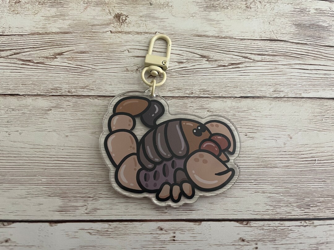 Scorpion- Desert Scorpion - Double Sided Acrylic Keychain - Etsy