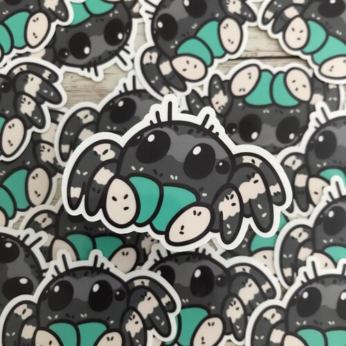 Jumping Spider Holographic Sticker - Etsy