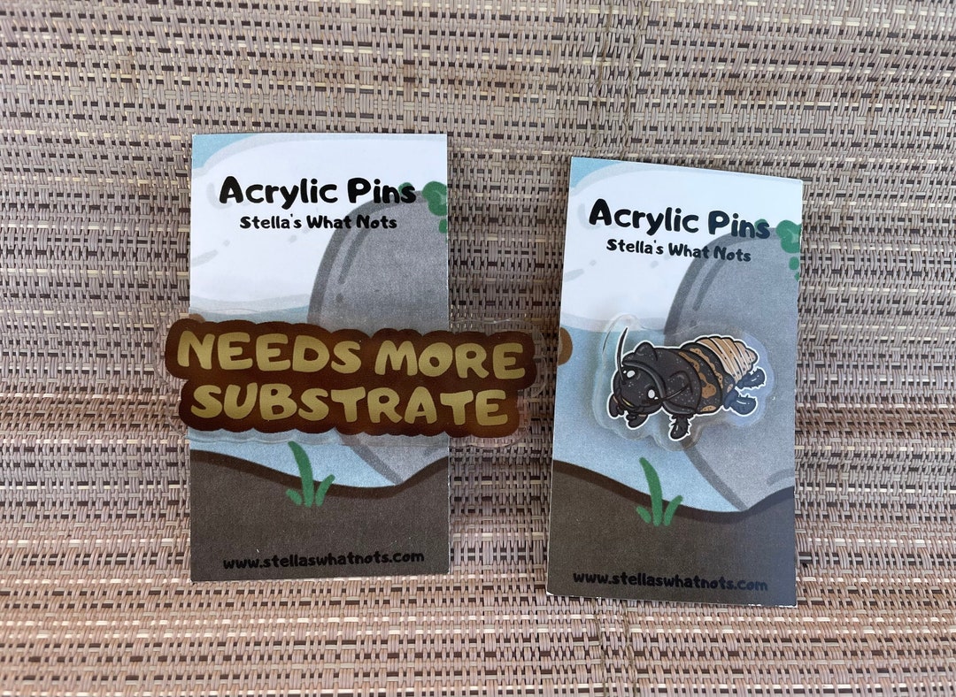 Tarantula Care Pins Needs More Substrate/cockroach Exotic Pets Acrylic ...
