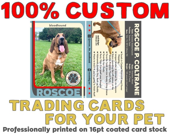 Custom Trading Cards for Your Pet | Etsy