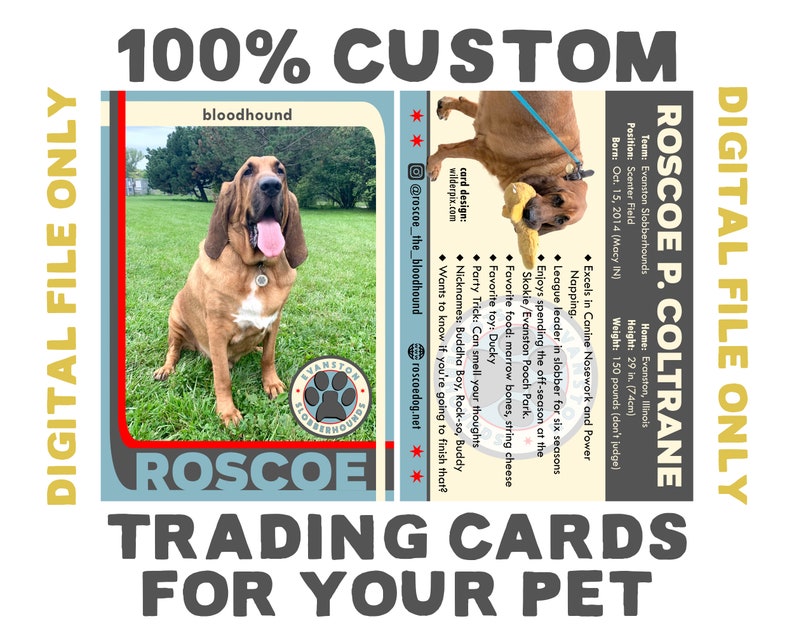 Digital File Only - Custom Trading Cards for Your Pet! - Etsy