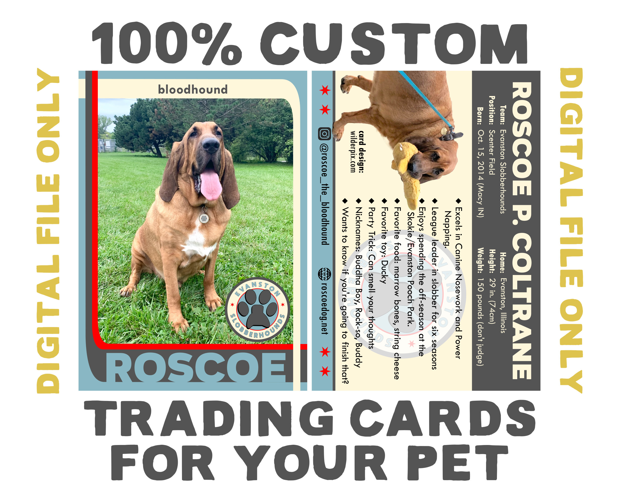 Digital File Only - Custom Trading Cards for Your Pet! - Etsy