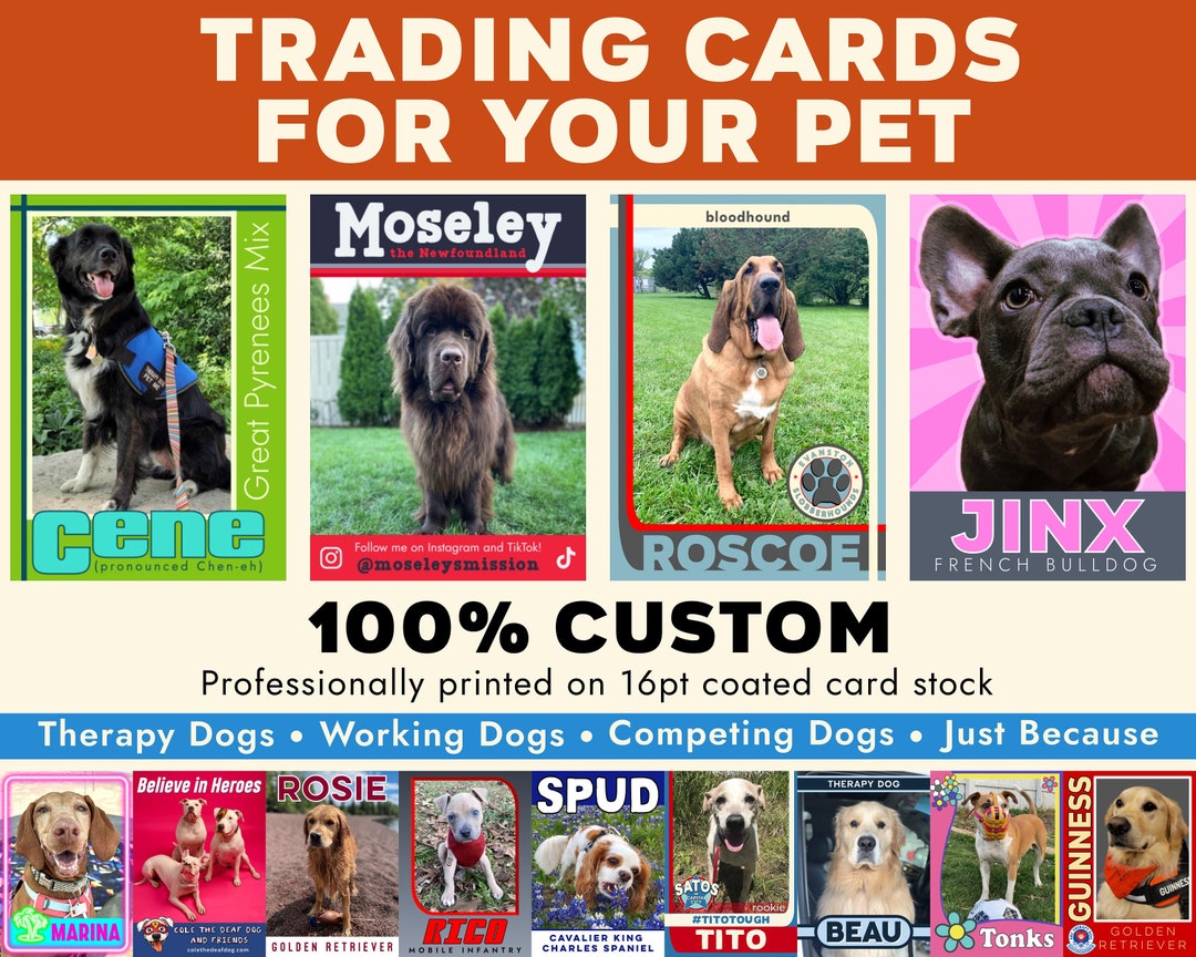 Custom Trading Cards for Your Pet! - Etsy