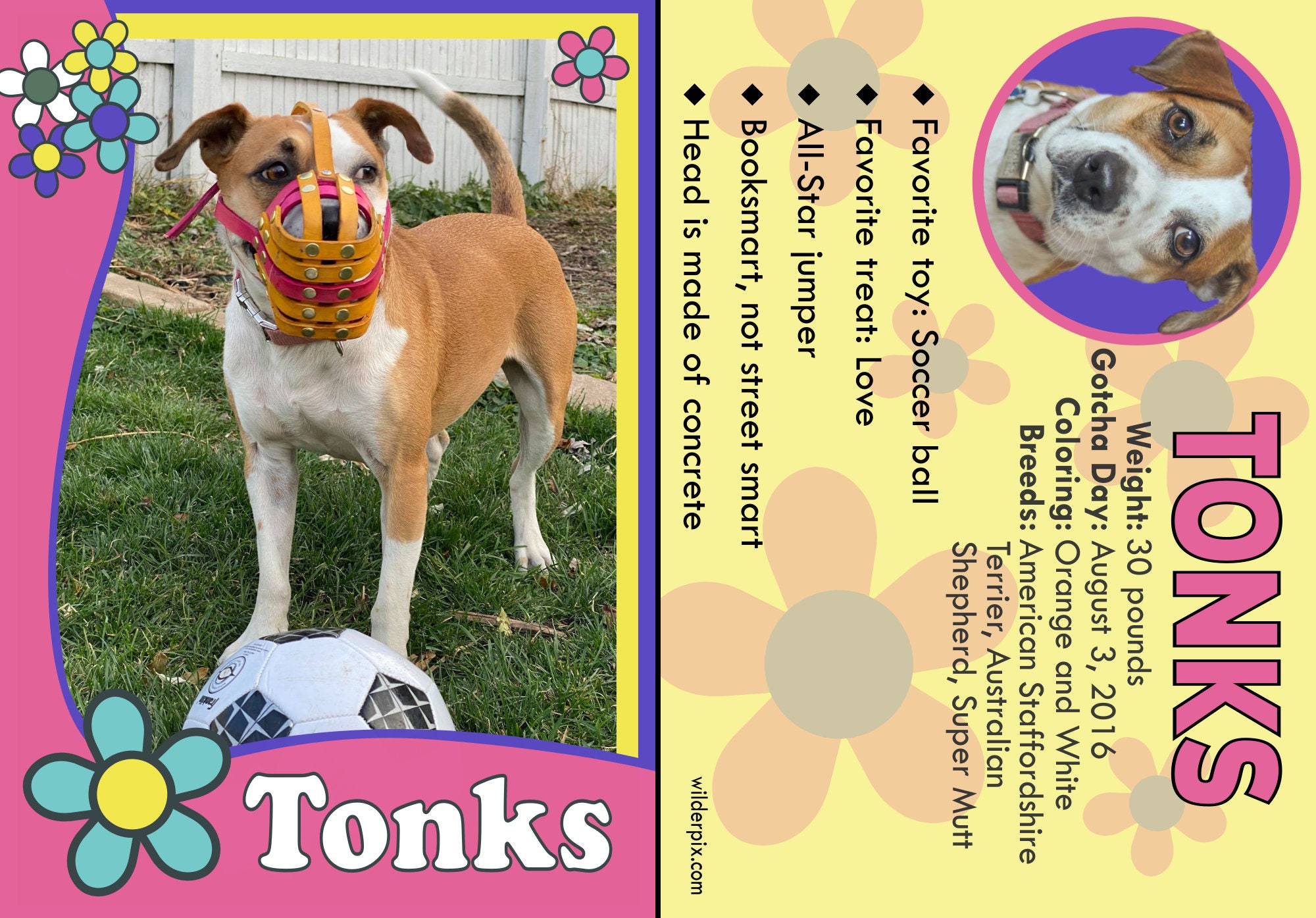 Digital File Only - Custom Trading Cards for Your Pet! - Etsy