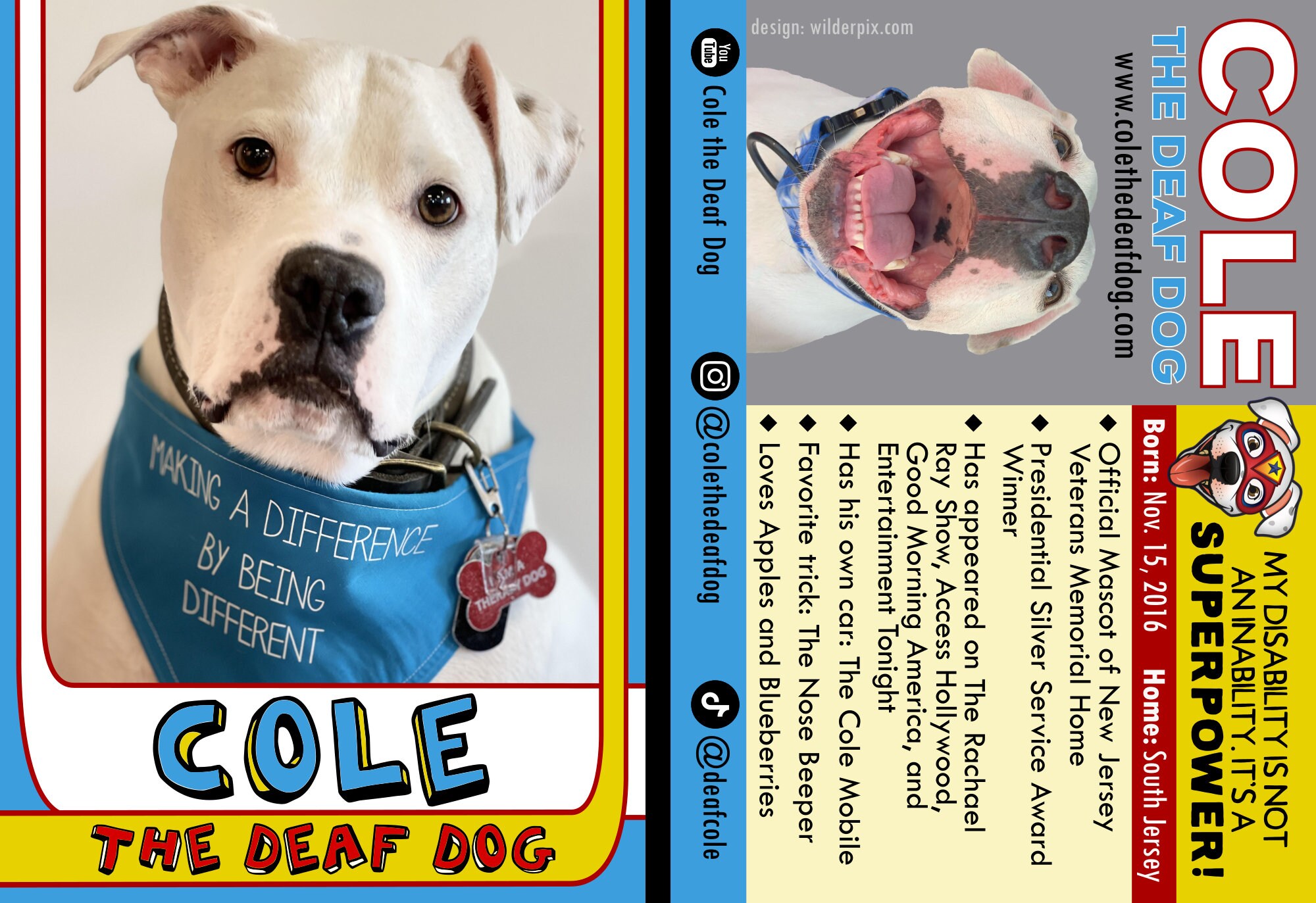Custom Trading Cards for Your Pet! - Etsy