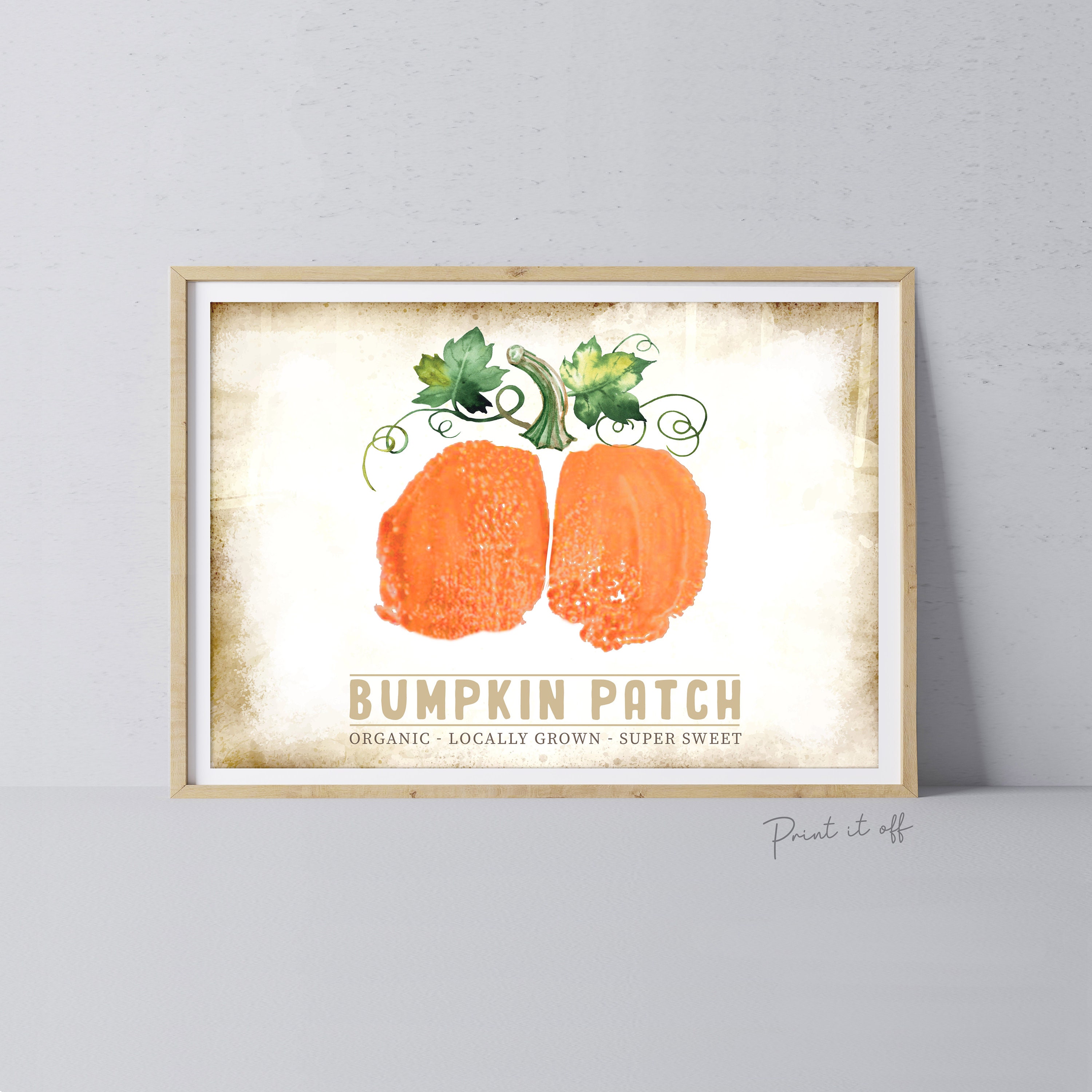 Bumpkin Patch / Pumpkin Bumkin / Baby Toddler Bum Bottom Print / First ...