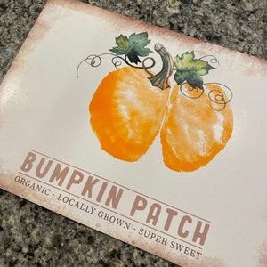 Bumpkin Patch / Pumpkin Bumkin / Baby Toddler Bum Bottom Print / First ...