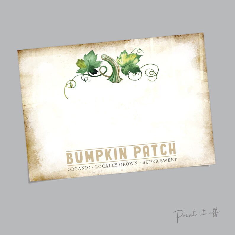 Bumpkin Patch / Pumpkin Bumkin / Baby Toddler Bum Bottom Print - Etsy