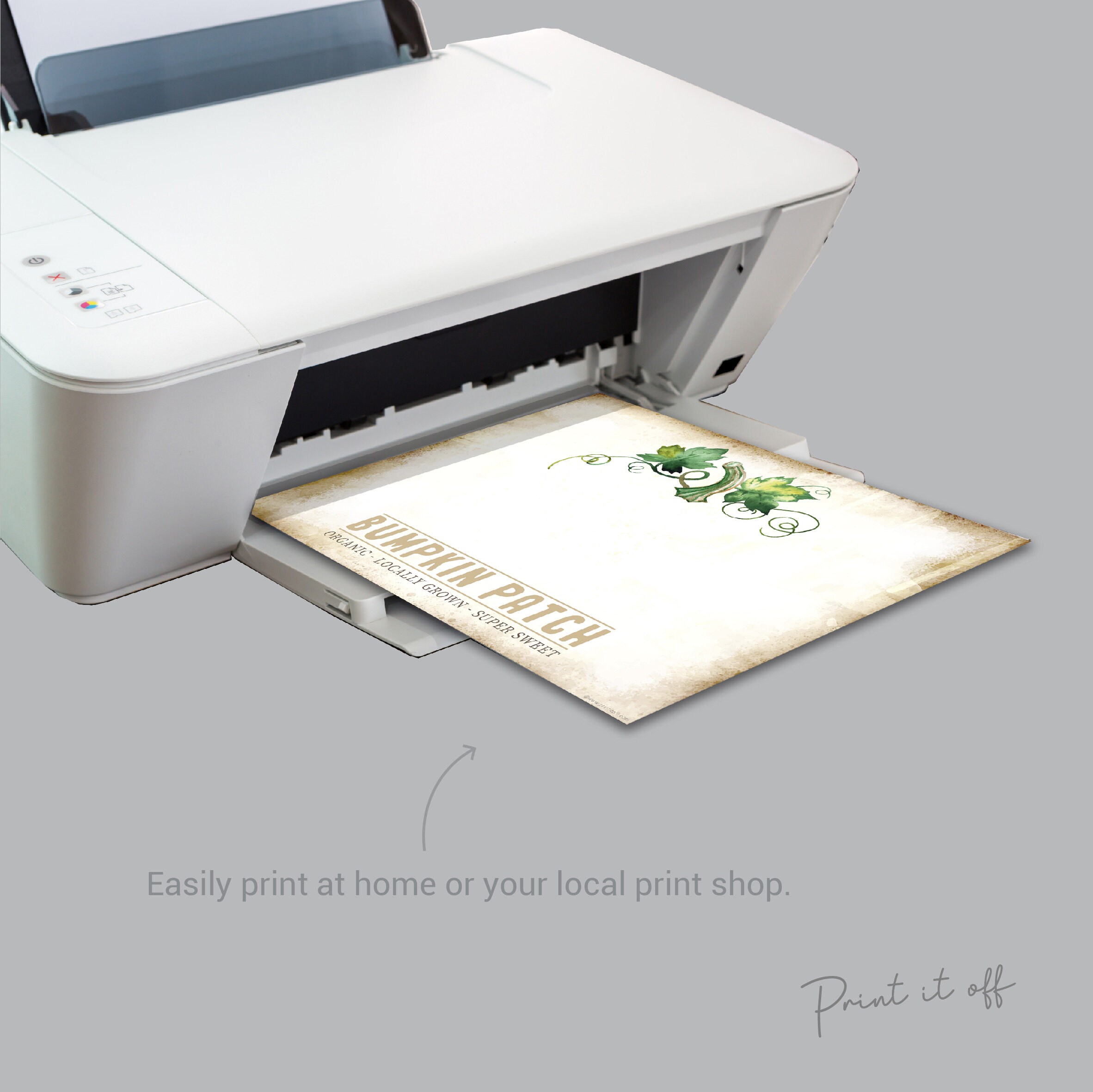 Bumpkin Patch / Pumpkin Bumkin / Baby Toddler Bum Bottom Print | Etsy