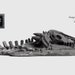 Ancient Black Dragon Skeleton 15mm 28mm 32mm Wilds of Wintertide ...