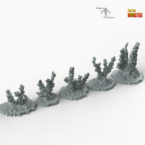 Kelp Seaweed Giant Brown Algae Print Your Monsters Fantastic Plants and ...