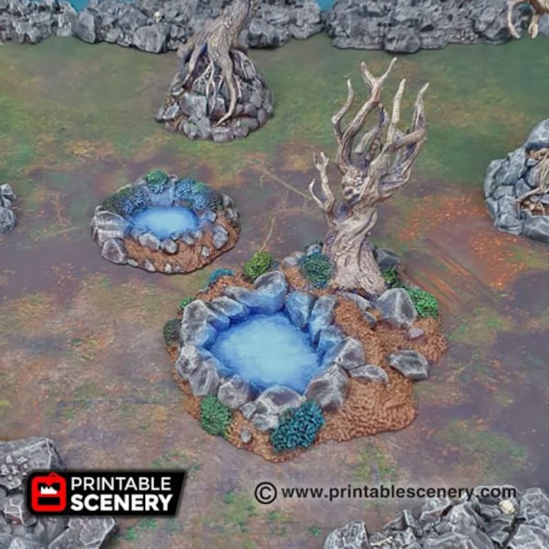 Fey Marshes and Pools Shadowfey Wilds Swamp Fen Marsh Bog | Etsy