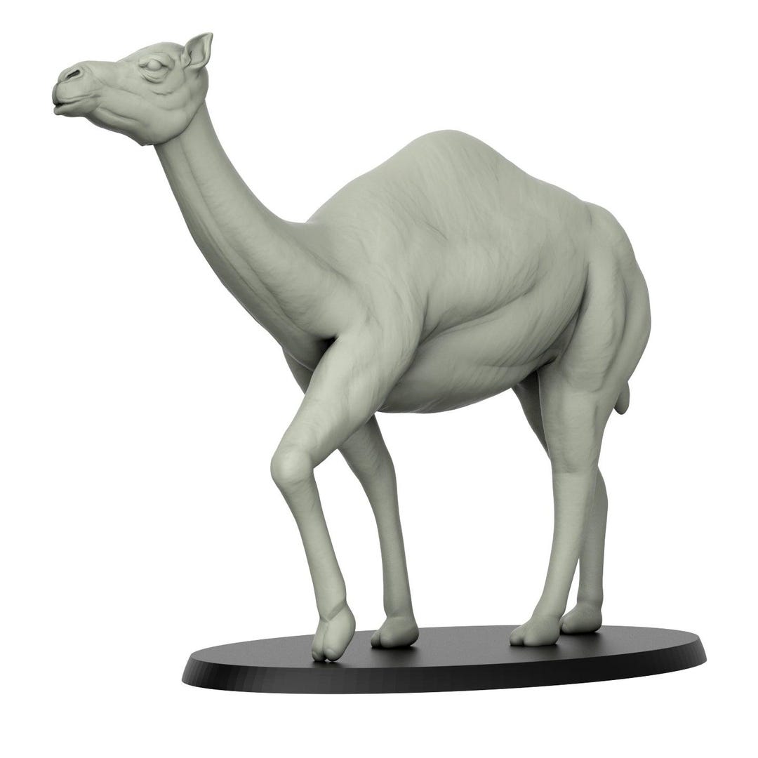 Camel - Wild Animals - 3D IP Studios - Terrain Wargaming D&D Dnd 28mm ...