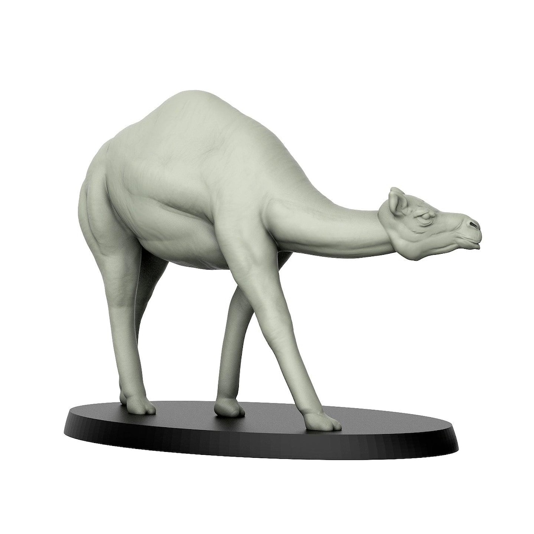 Camel Pose 2 - Wild Animals - 3D IP Studios - Terrain Wargaming D&D Dnd ...