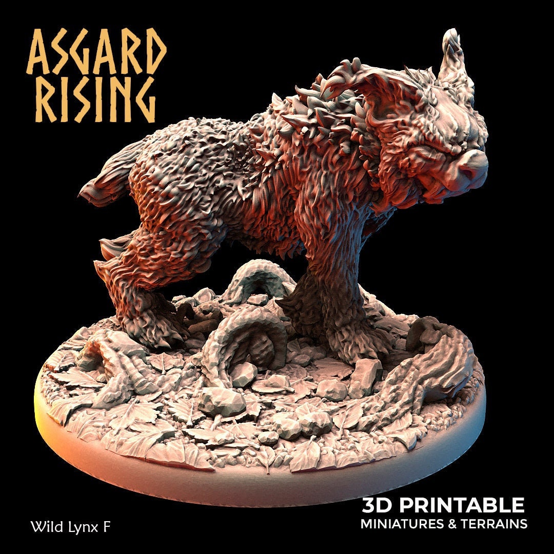 Wild Lynx F - Asgard Rising - Wargaming D&D Dnd - Etsy