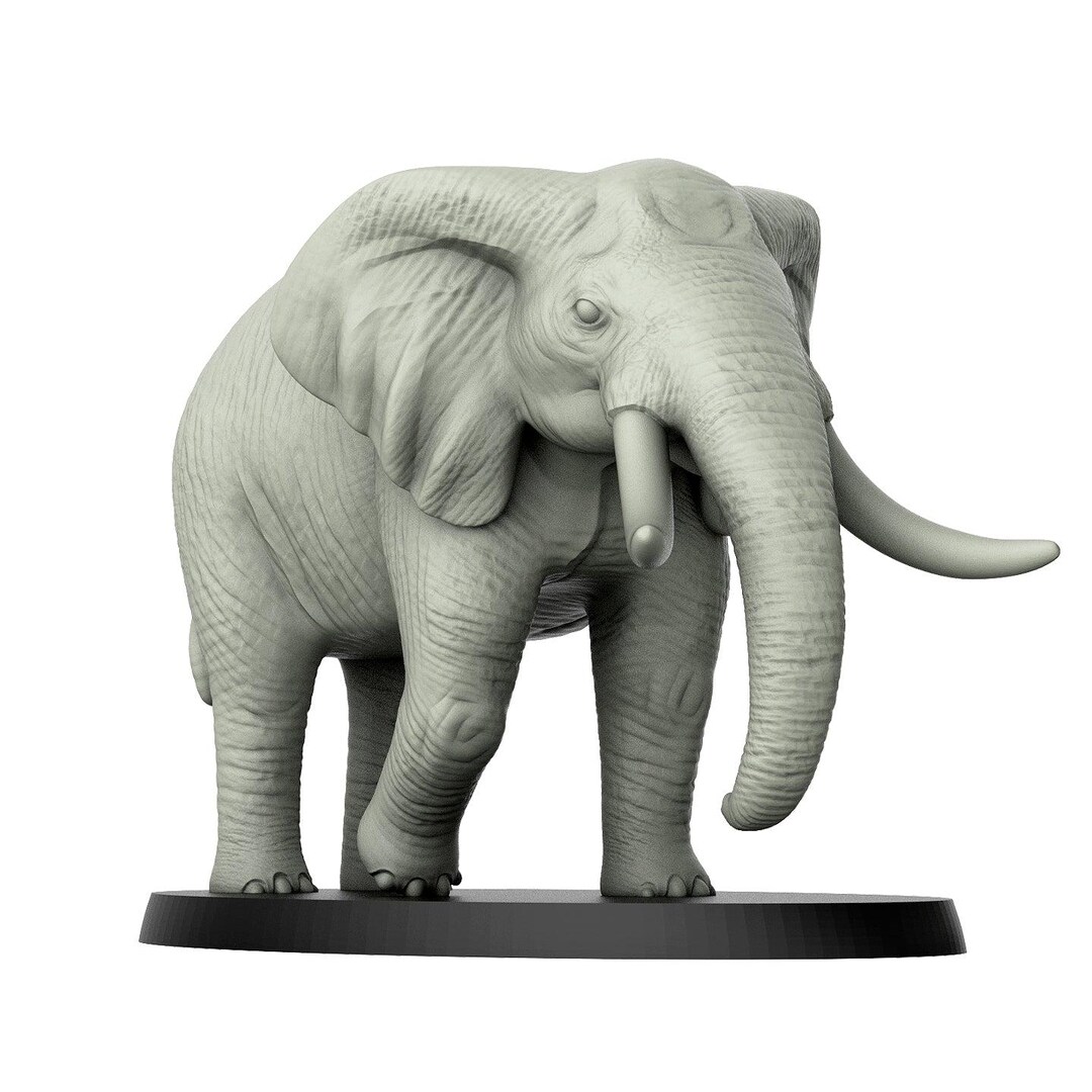 Elephant - Wild Animals - 3D IP Studios - Terrain Wargaming D&D Dnd ...