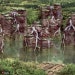 Swamp Grotto Walls the Gloaming Swamps Printable Scenery - Etsy