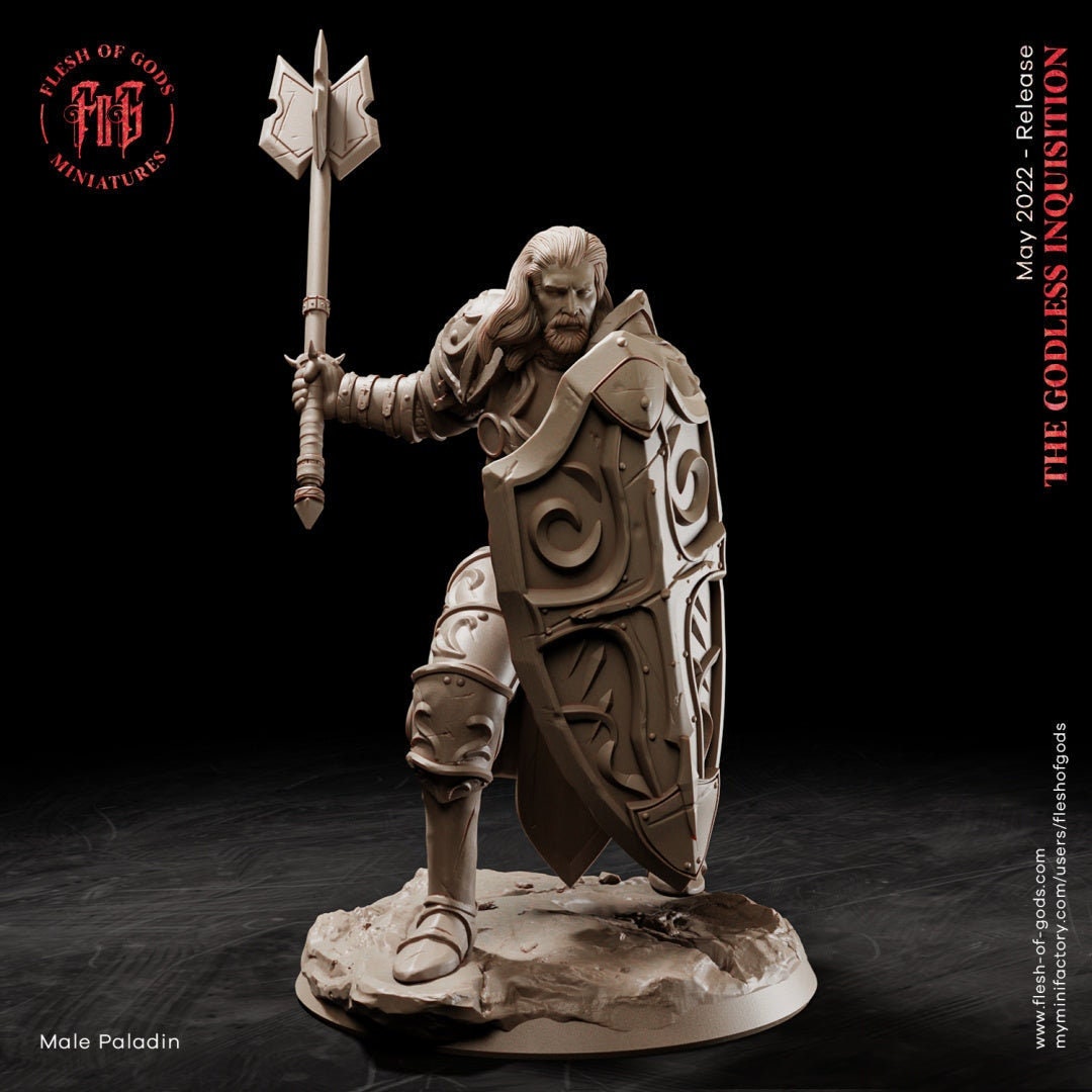 Male Human Paladin - the Godless Inquisition - Flesh of Gods Wargaming ...