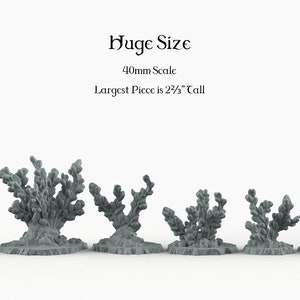 Kelp Seaweed Giant Brown Algae Print Your Monsters Fantastic Plants and ...