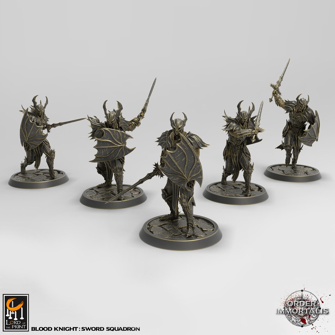 Blood Knight Sword Squadron - Order Immortalis - Lord of the Print ...