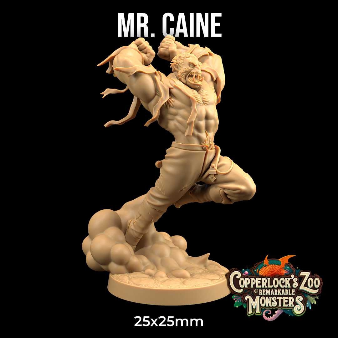 Mr. Caine - Copperlock's Zoo - Dragon Trapper's Lodge Wargaming D&D Dnd ...