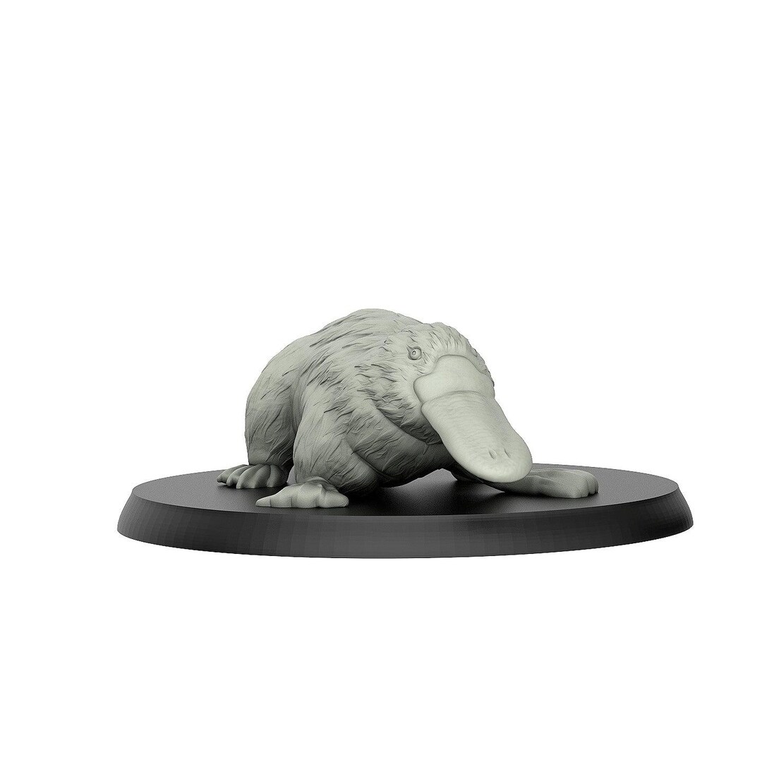 Platypus - Wild Animals - 3D IP Studios - Terrain Wargaming D&D Dnd ...
