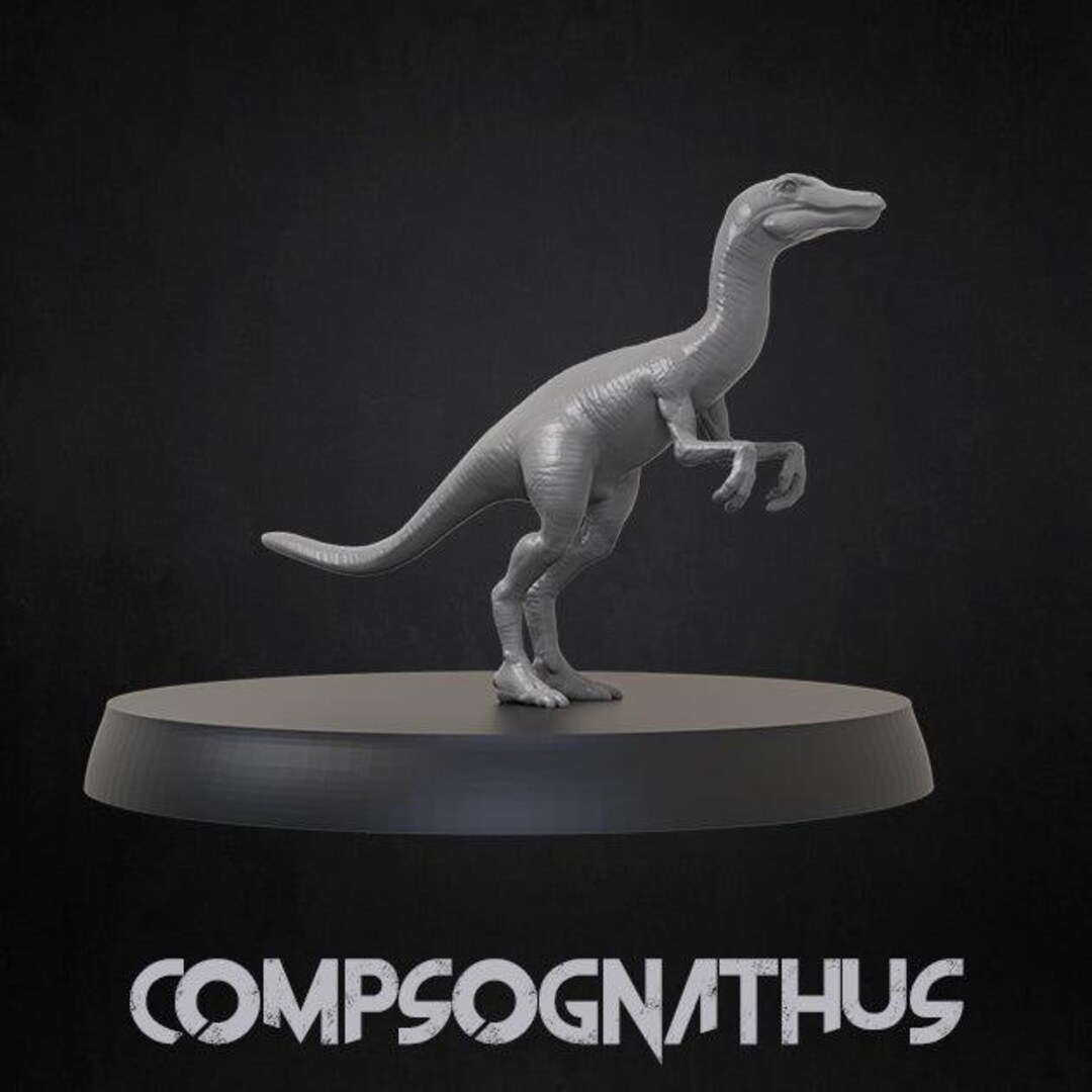 Compsognathus - Dinosaurs Set 3 - 3D IP Studios - Terrain Wargaming D&D ...