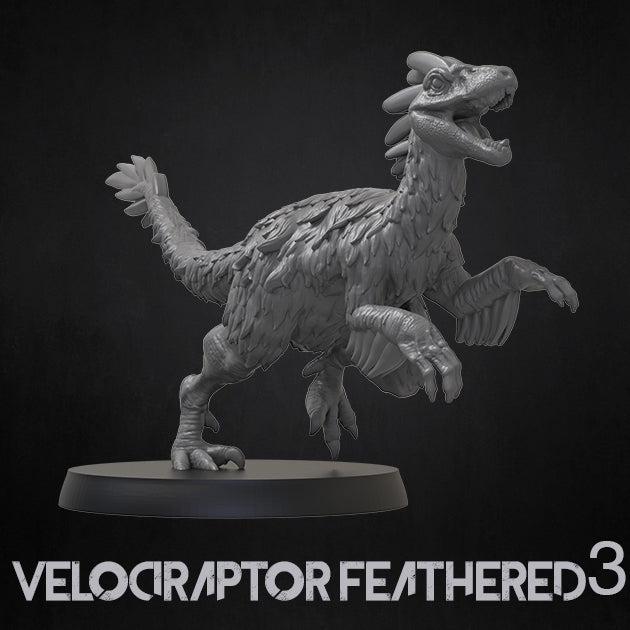 Velociraptor With Feathers - Dinosaurs Set 4 - 3D IP Studios - Terrain ...