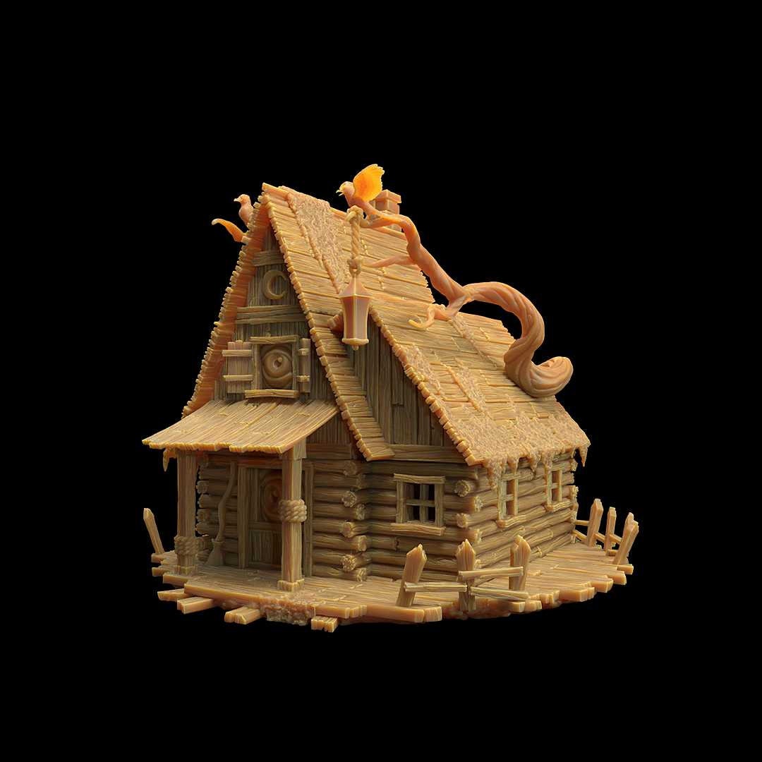 Spooky House - A New Moon Festival - Dragon Trapper's Lodge Wargaming D ...