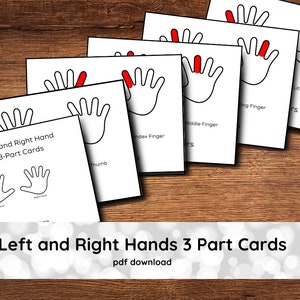 Left and Right Hands Fingers Thumbs Three-part Cards Montessori - Etsy
