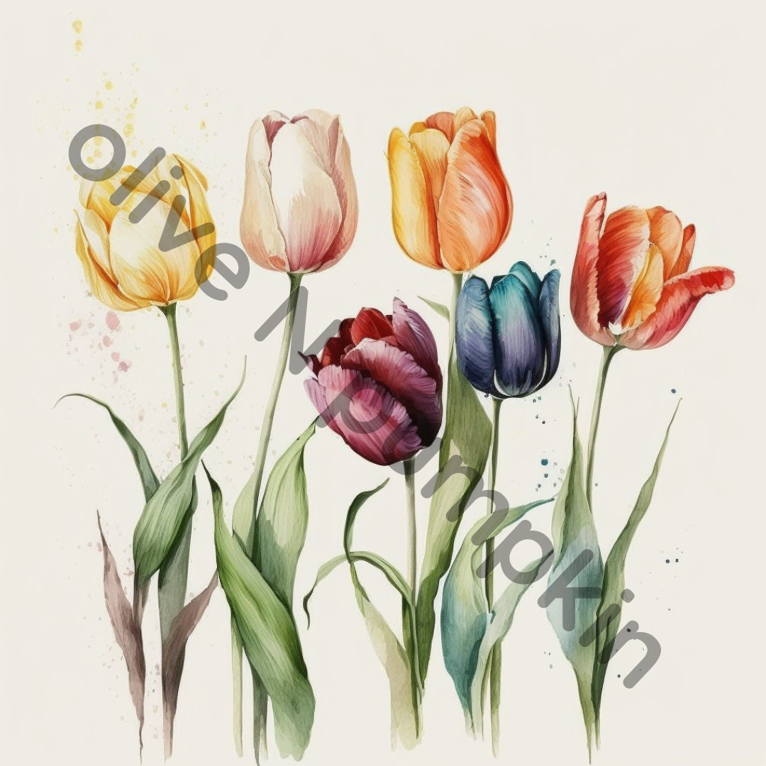Tulip Watercolor, Tulip Clipart Bundle, Spring Floral Clipart ...
