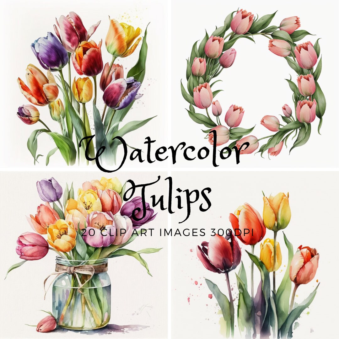 Tulip Watercolor, Tulip Clipart Bundle, Spring Floral Clipart ...