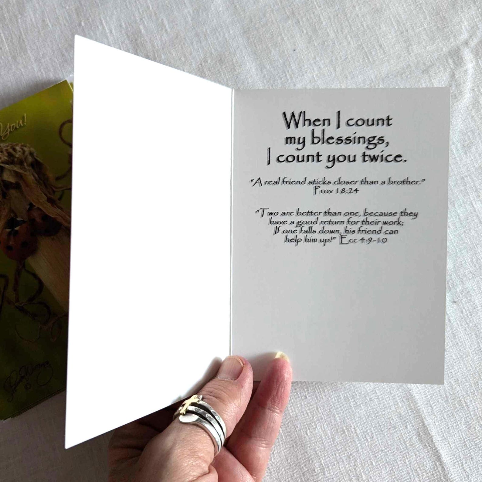 Thank You Greeting Cards, Original Photo by Shannon Wirrenga, Lady Bugs ...